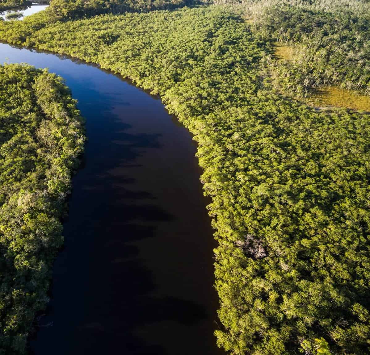 Astonishing Mysteries About the Amazon Rainforest in Brazil No One is ...