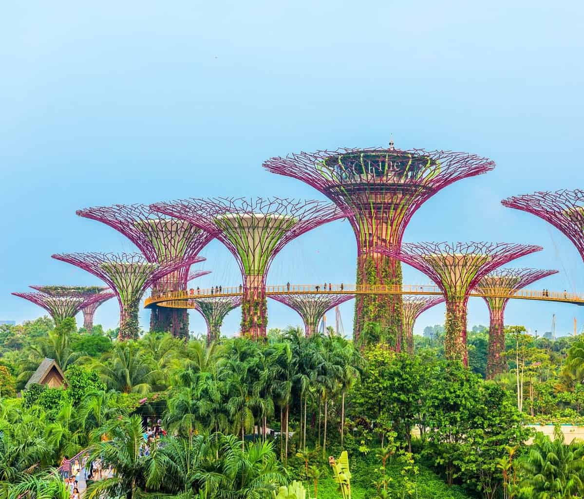 Gardens by the Bay: Fully- Loaded Awesome Facts Worth Your Attention ...