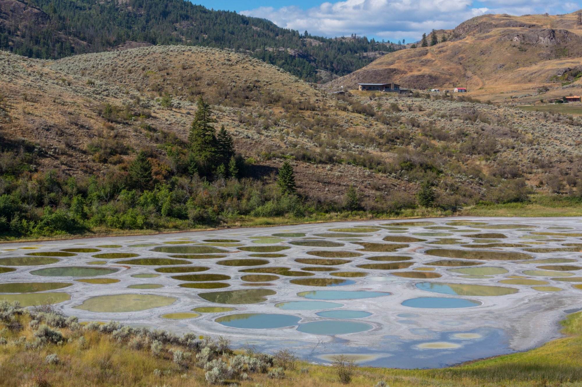The Spotted Lake, Canada: A Bizarrely Beautiful Natural Phenomenon ...