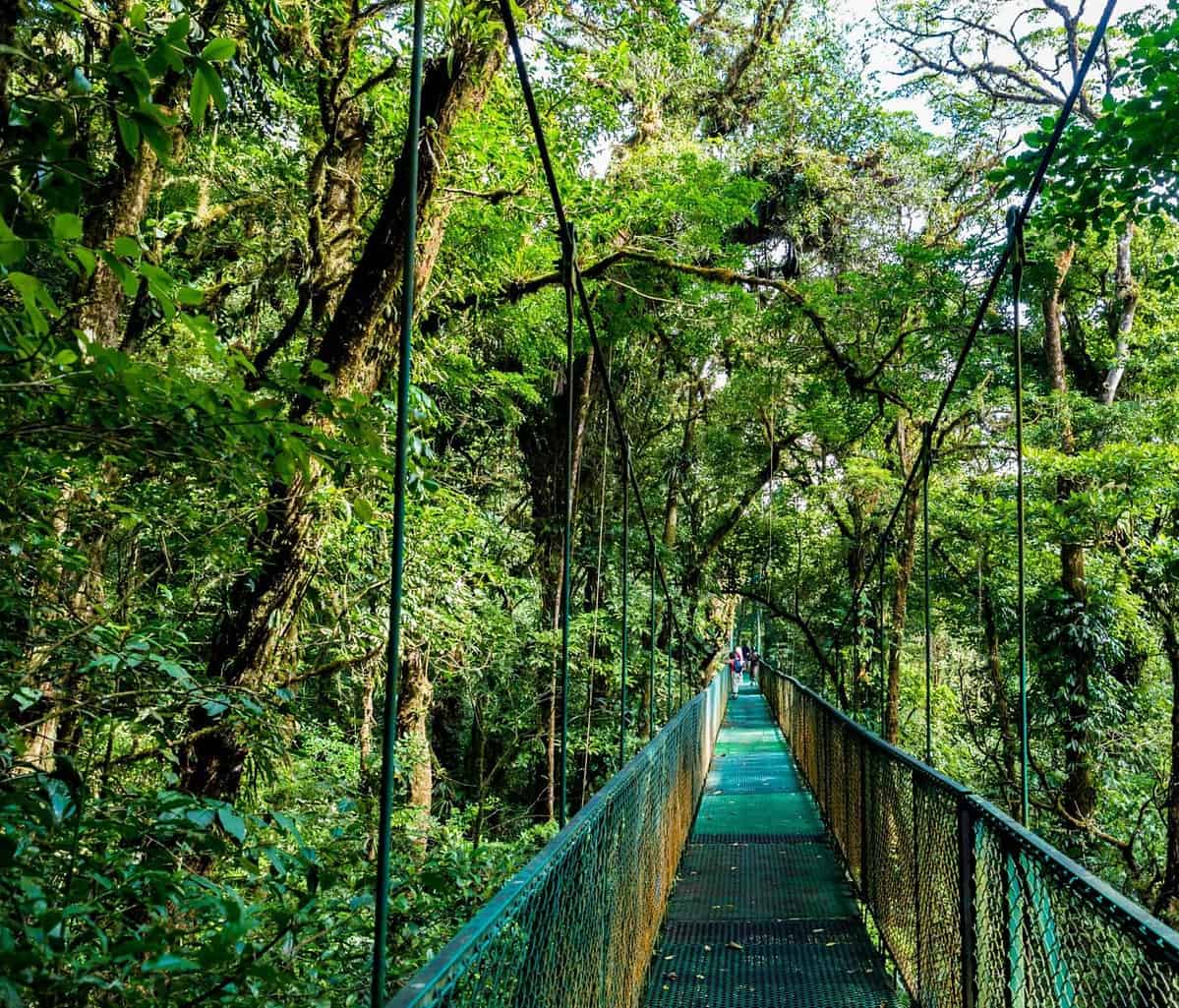 The Monteverde Cloud Forest Reserve in Costa Rica: A Heart-Warming ...