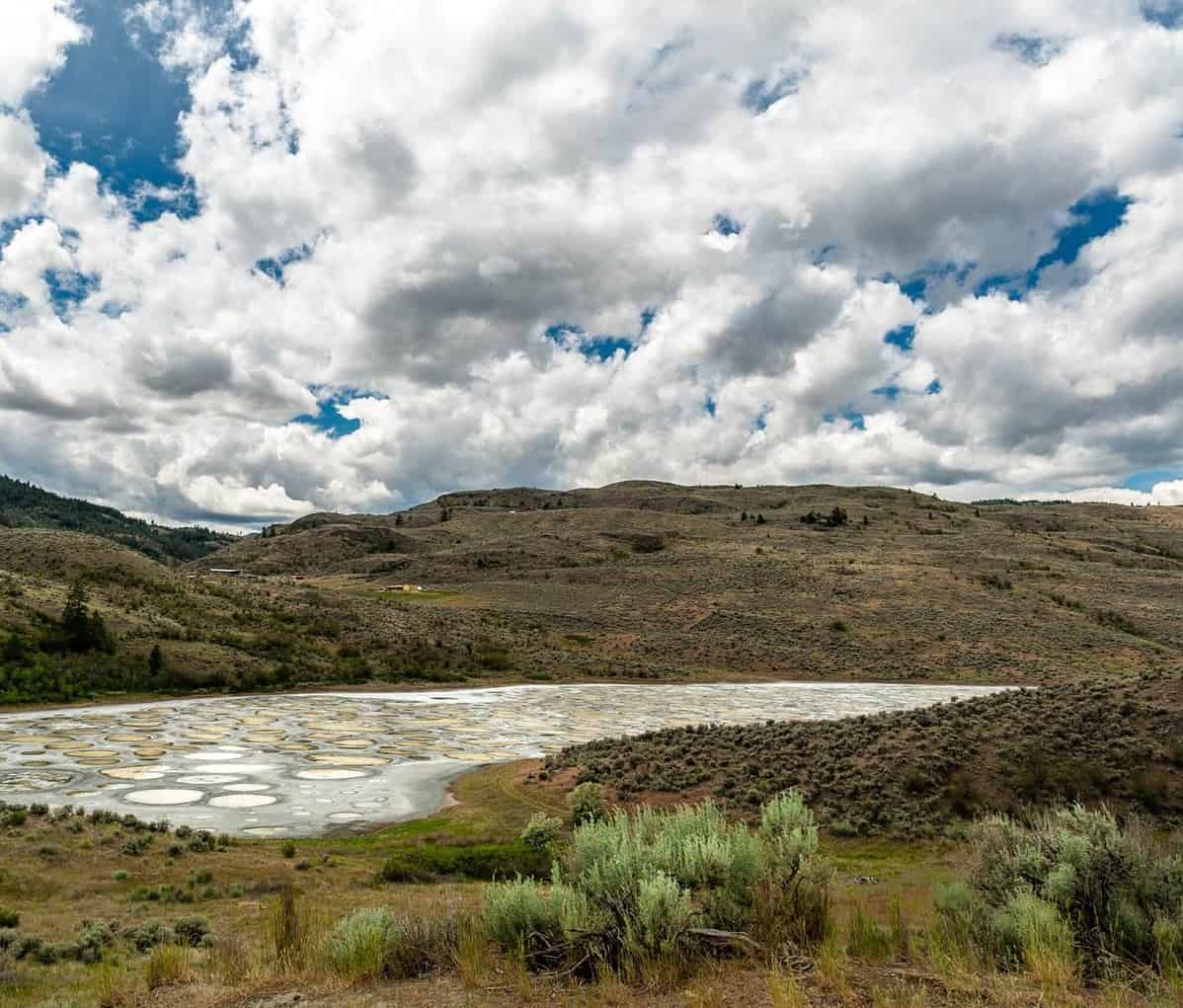 The Spotted Lake, Canada: A Bizarrely Beautiful Natural Phenomenon ...