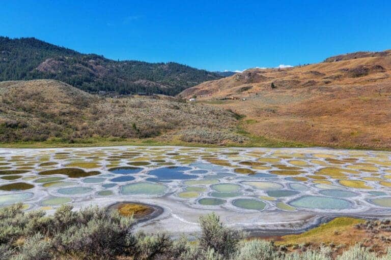 The Spotted Lake, Canada: A Bizarrely Beautiful Natural Phenomenon ...
