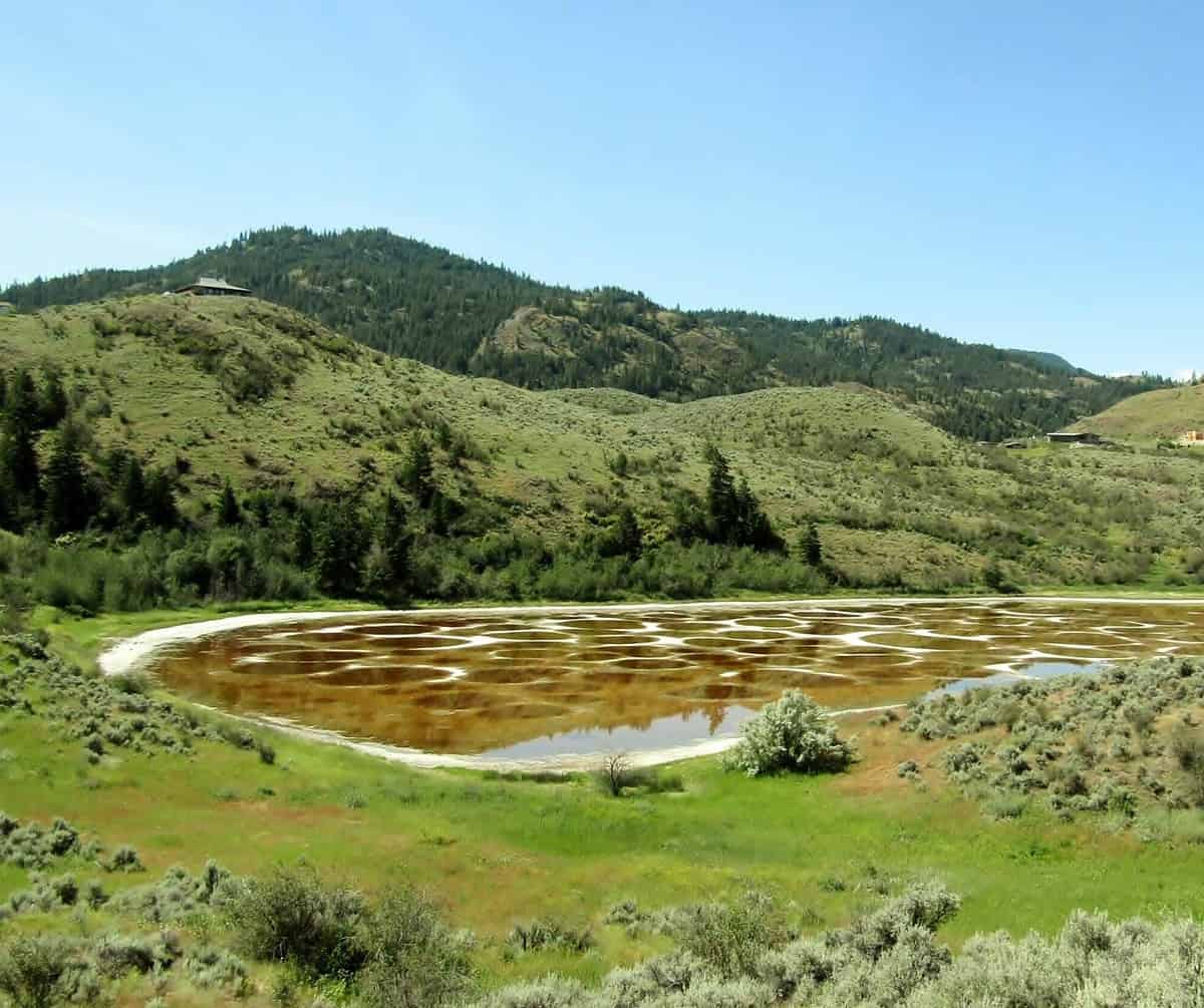 The Spotted Lake, Canada: A Bizarrely Beautiful Natural Phenomenon ...