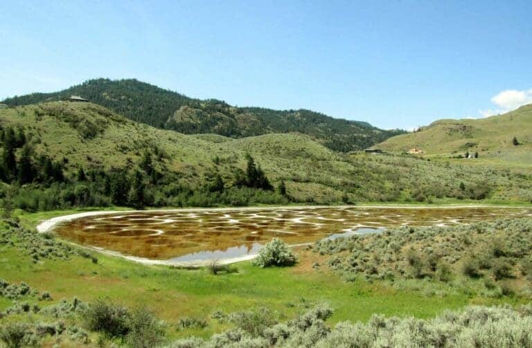 The Spotted Lake, Canada: A Bizarrely Beautiful Natural Phenomenon ...