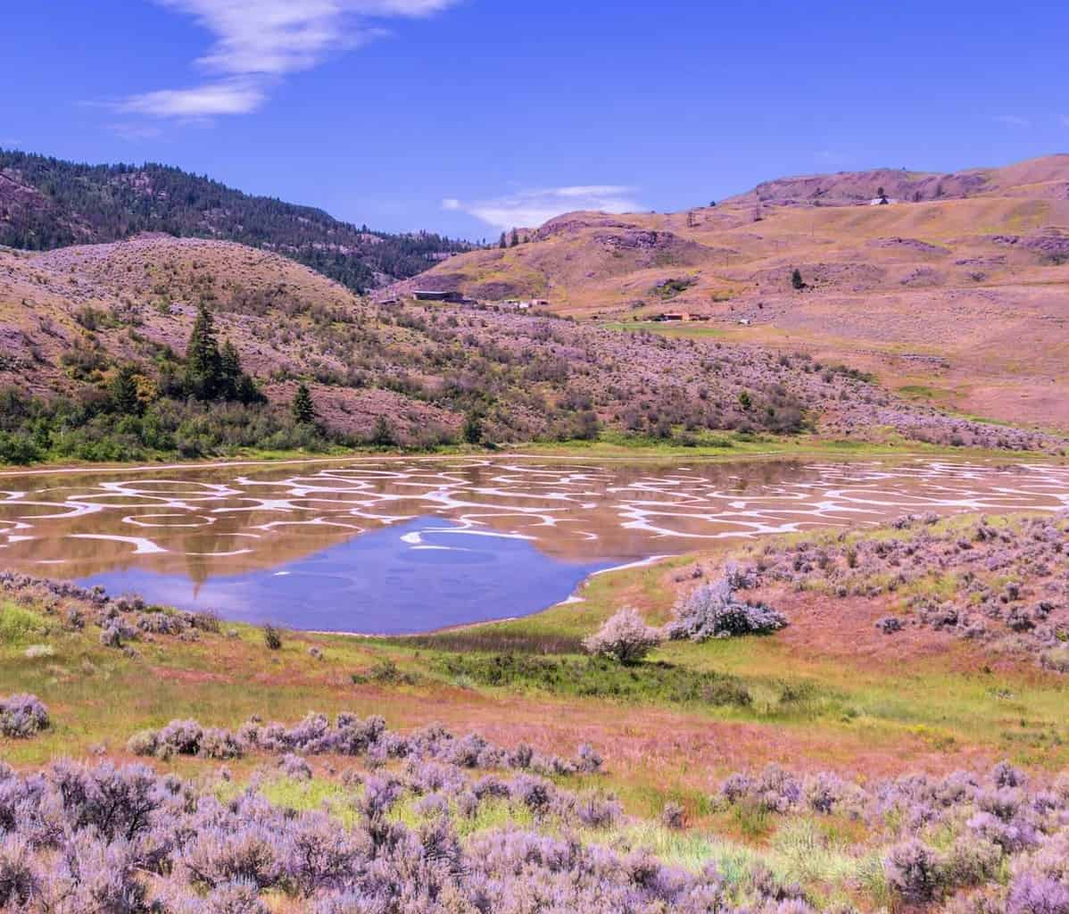 The Spotted Lake, Canada: A Bizarrely Beautiful Natural Phenomenon ...