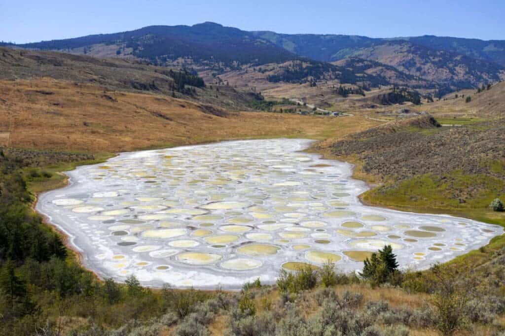 The Spotted Lake, Canada: A Bizarrely Beautiful Natural Phenomenon ...