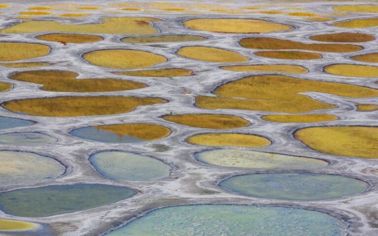 The Spotted Lake, Canada: A Bizarrely Beautiful Natural Phenomenon ...