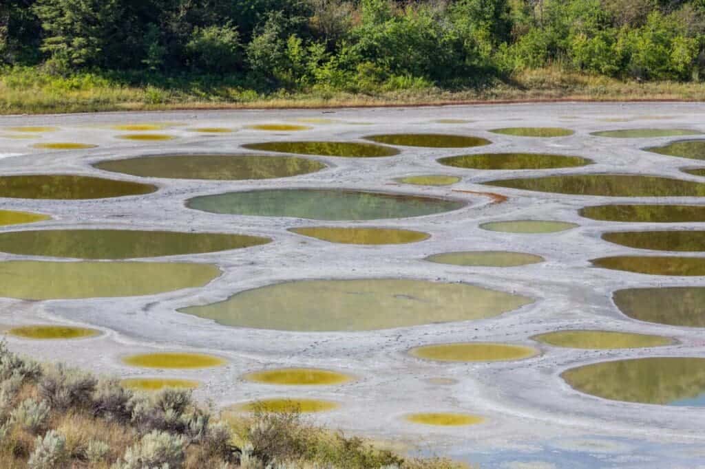 The Spotted Lake, Canada: A Bizarrely Beautiful Natural Phenomenon ...