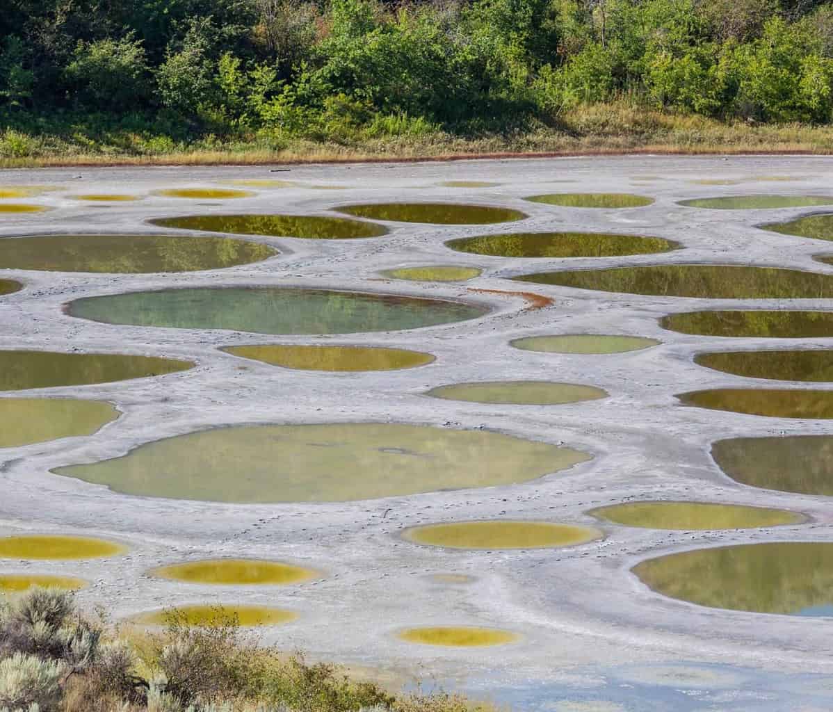 The Spotted Lake, Canada: A Bizarrely Beautiful Natural Phenomenon ...