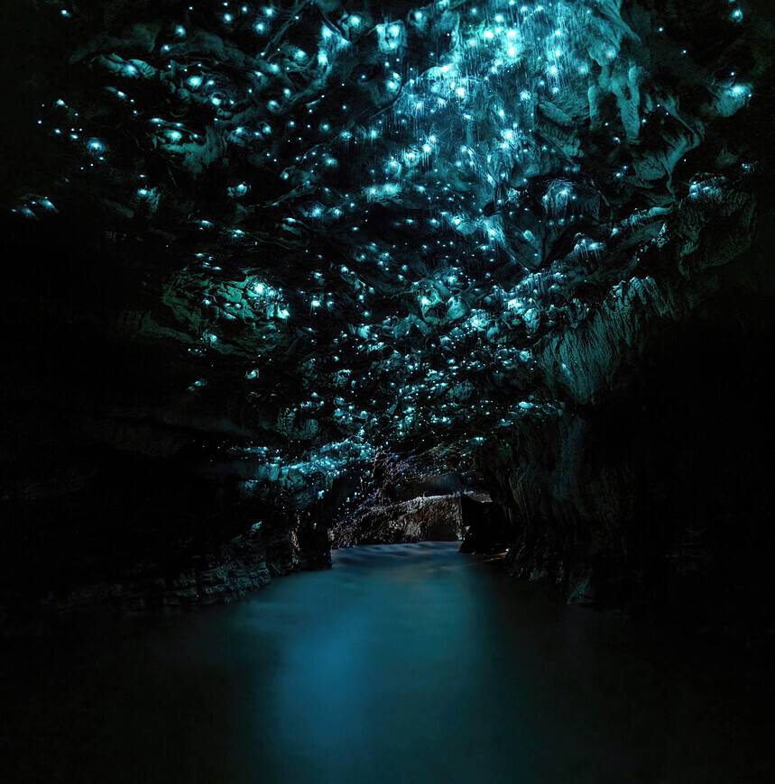 Discover the Beauty of Unfamiliar Places at the Waitomo Glowworm Caves ...